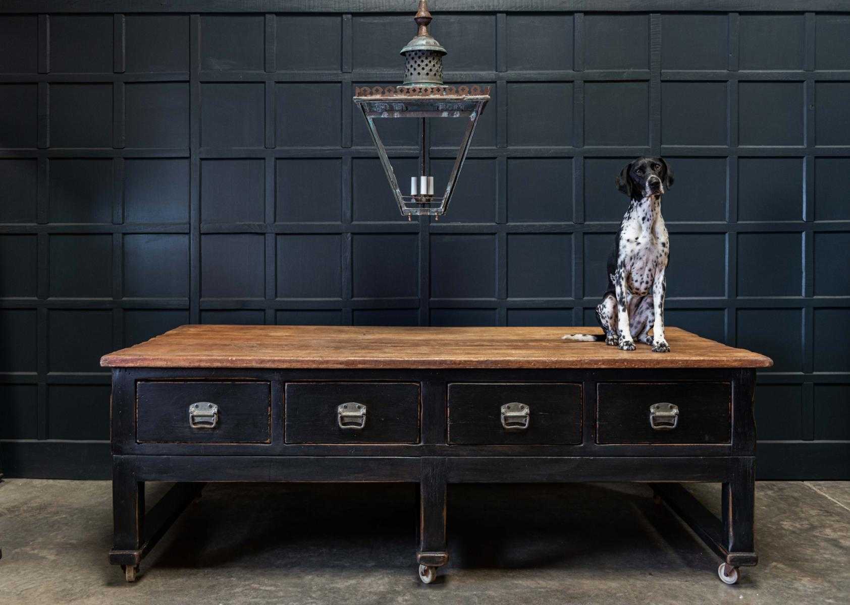 Adam Lloyd Interiors Online Shop | Shop Furniture/Lighting/Design at PAMONO