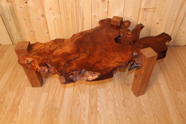 Brutalist Tree Trunk Coffee Table
