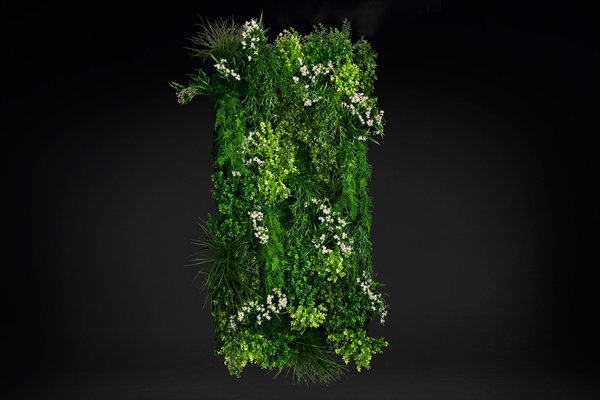 Modular Green Wall Panels Green Wall With Live Plants VERSA WALL®