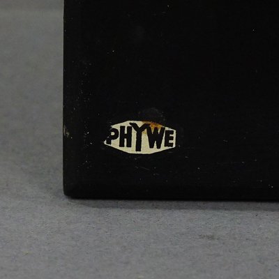 Phywe Logo Downloadable Documents – Wi Phyt