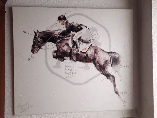Arte Del Cavallo Che Salta Cavallo Avelignese: Storia, Aspetto,