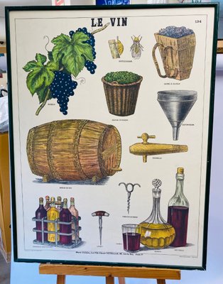 Educational Wine Poster