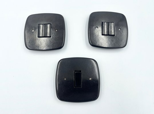 Bakelite Switches