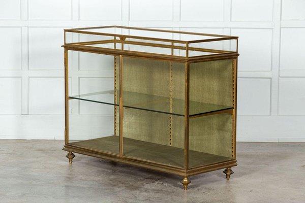 19th Century English Bronze Shop Display Cabinet 1890s