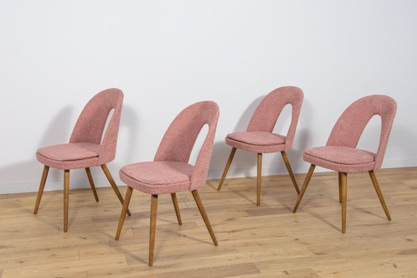 Suman plastic chairs store