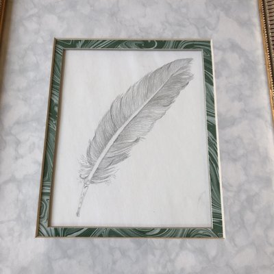 Dibujo De Pluma De Ave Pluma De Ave Plata, Pluma, Animales, Hoja,