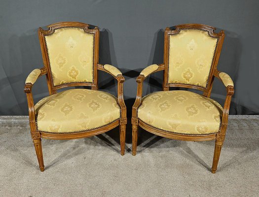 Louis xvi armchairs for sale store