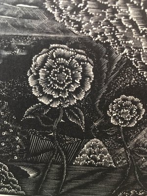 Simple Flower Scratchboard