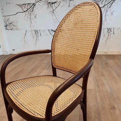 Bentwood and Rattan Dining Chairs from Thonet 1982 Set of 6