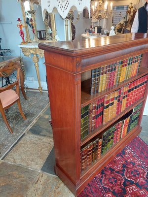 Antique dwarf bookcase store