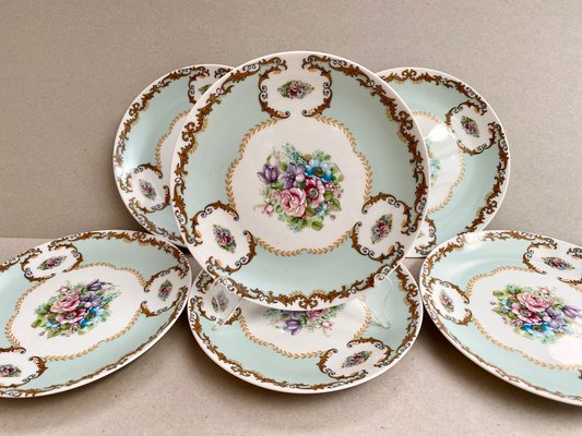 Vintage Bavarian Porcelain Floral Decor Dessert Snack Plates from Seltmann Weiden 1960s Set of 6