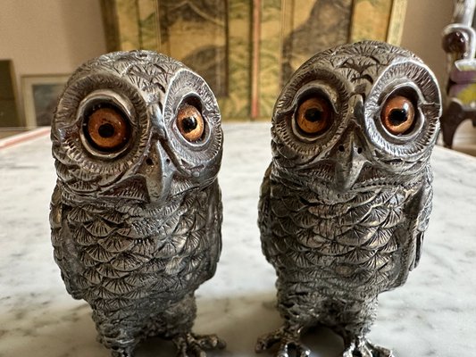 Owl salt and pepper shakers store