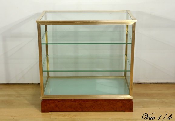 Vintage Showcase in Glass and Brass 1950s