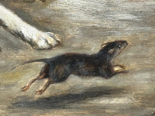 Jack Russell Terrier Ratting