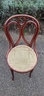 N 19 Side Chair by Michael Thonet for Thonet 1890s for sale at Pamono