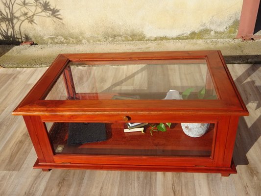 Display Cabinet with Exotic Wood Structure for sale at Pamono