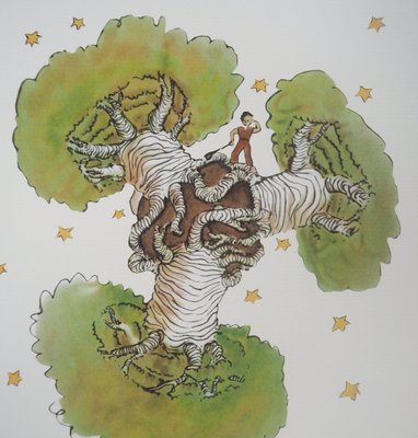 Baobab Tree The Little Prince