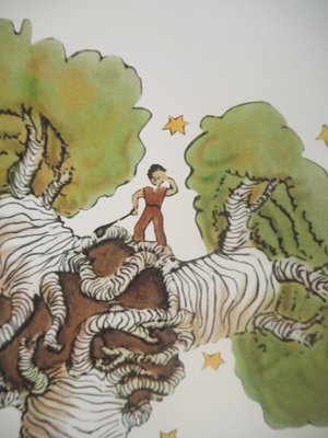 Baobab Tree The Little Prince