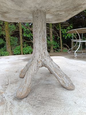 tree trunk concrete