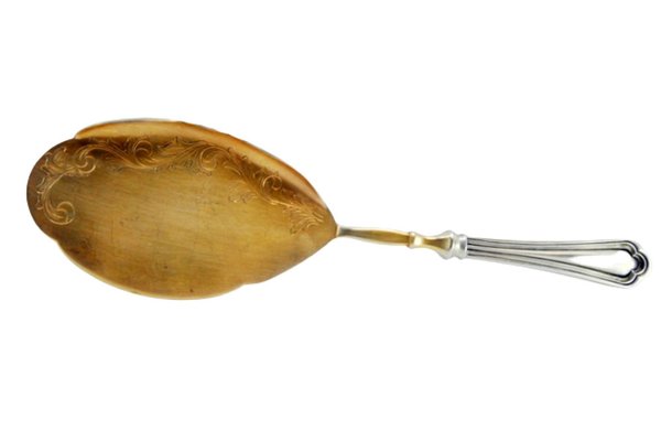 cake spatula serving