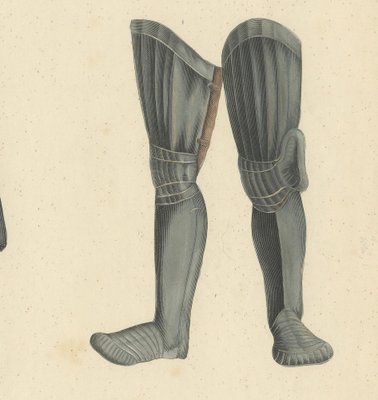 plate armor components