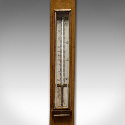 Antique Mercury Barometer