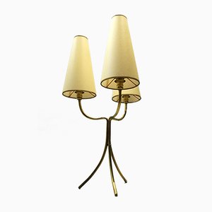 Jean Royère Online Shop | Shop Design at Pamono