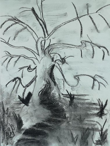 Michael Schoch, Weide, 2020, Papier bei Pamono kaufen