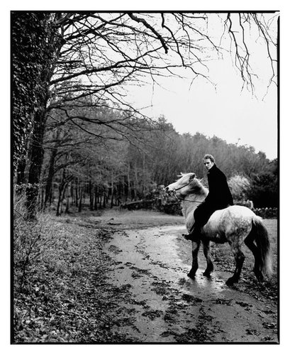 Kevin Westenberg, Sting, 1992, Photographic Paper for sale at Pamono