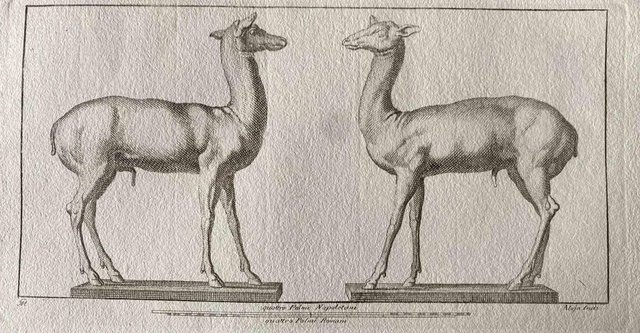 Various Old Masters, Animal Figures of Ancient Rome, Original Etching ...