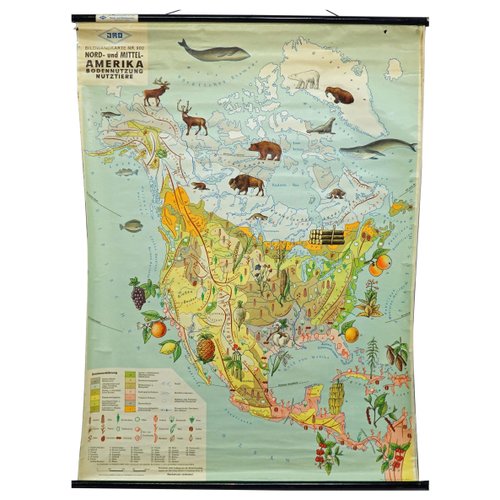North America Land Use and Livestock Picture Map, 1970s for sale at Pamono