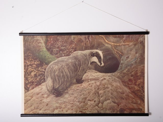 Badger School Poster, 1920s for sale at Pamono