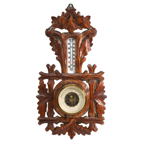 French Model 9432 Barometer with Thermometer in Carved Wood, 1910s for ...