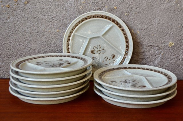 Fondue Compartmented Plates in Bohemian Style, 1960s, Set of 10 for ...