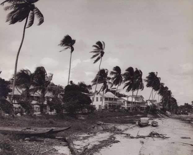 Hanna Seidel, Surinamese River with Palm Trees, Black and White ...