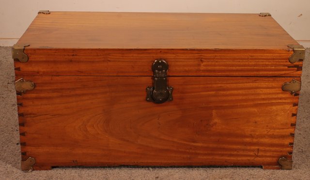 Camphor Wood Campaign Chest for sale at Pamono