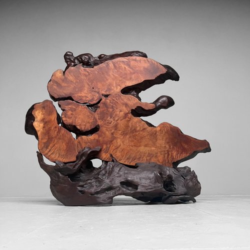 Japanese Burl Wood Decoration for sale at Pamono