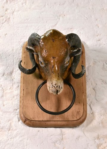 Antique French Rams Head from Butchers Shop, 19th Century for sale at ...