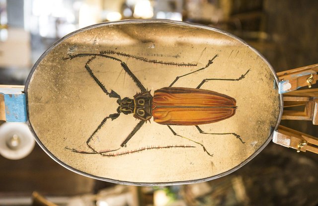 Caramel Beetle Silver Mirror from Unique Mirrors for sale at Pamono