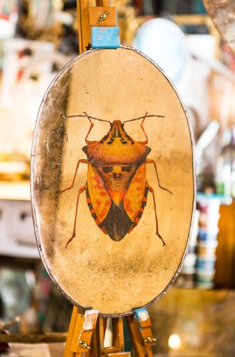 Y Beetle Mirror from Unique Mirrors for sale at Pamono
