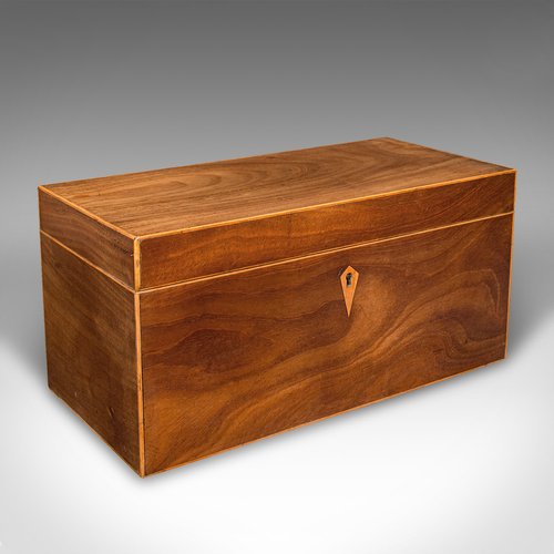 Antique English Tea Caddy in Satinwood, 1830 for sale at Pamono