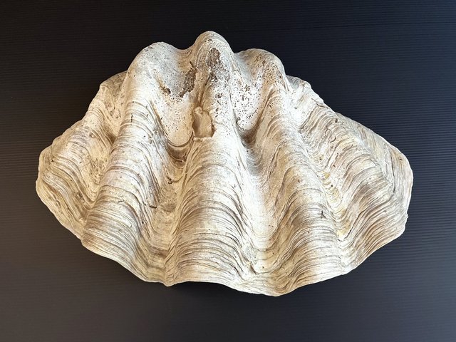 Vintage Resin Giant Shell for sale at Pamono