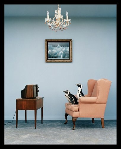 Matthias Clamer, Penguins on Chair Watching Television, Side View ...