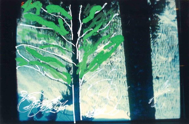 Mario Schifano, The Tree, Mixed Media on Photograph, 1990s for sale at ...