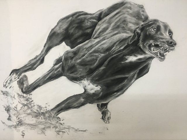 Simon Postgate, Greyhound, 2022, Charcoal & Ink on Paper, Framed for ...