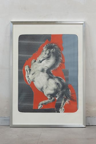 Hans Erni, Horse, 1974, Lithograph for sale at Pamono