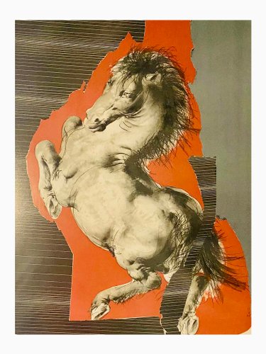 Hans Erni, Horse, 1974, Lithograph for sale at Pamono