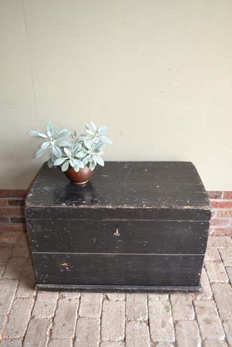 Antique Black Blanket TV Box