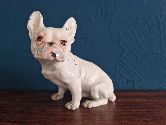 Französische Bulldogge Figur von Augarten, Wien, 1910er bei Pamono kaufen