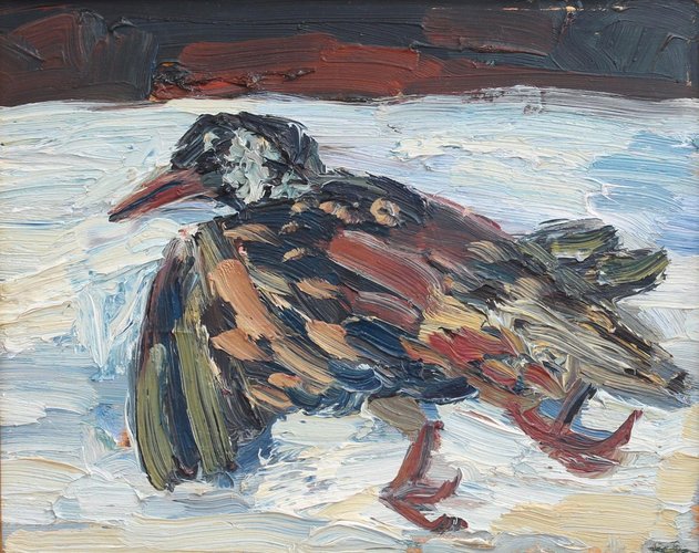Anna Costa, Portrait of a Bird in Snow, 1960s, Oil on Board, Framed for ...